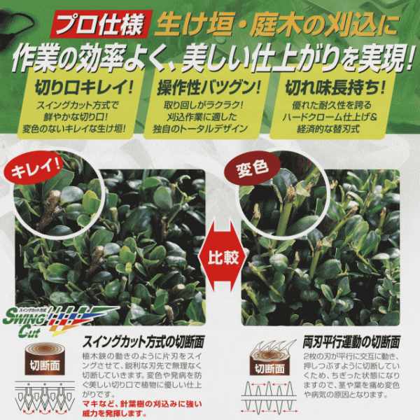 アルス ハイパワー電動バリカン DKP-0336 アルスコーポレーション 最安値価格: グアヴァジュース