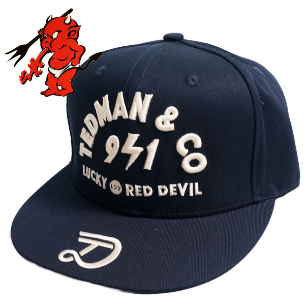 TEDMAN テッドマン ロゴ 3D刺繍 ツイル ストレートキャップ 帽子 メンズ 新作2024-2025年モデル TEDMANS tdc ...