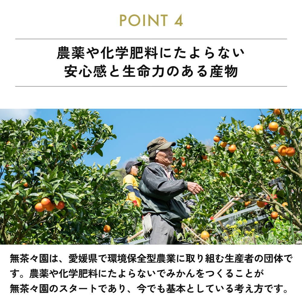 yaetoco 全2種 2本セット 伊予柑しっとり/さわやかレモンのハンドクリーム ボディケア 無茶々園 無農薬 レモン 伊予柑 オーガニック : アクトワークス - 通販 - Yahoo ...