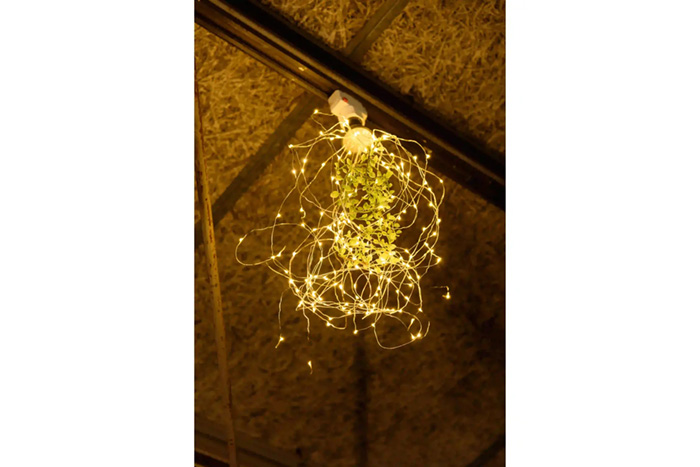 スワン電器 SWAN LED SWAN BULB SPARKLER イルミネーションライト ソケット型ガーランド 本体:樹脂 E26 シルバー ...