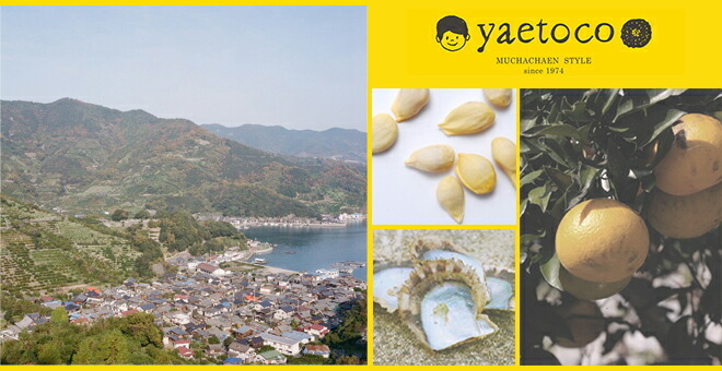 amasia store Yahoo!店 - yaetoco（ブランド名S ~ Z）｜Yahoo!ショッピング