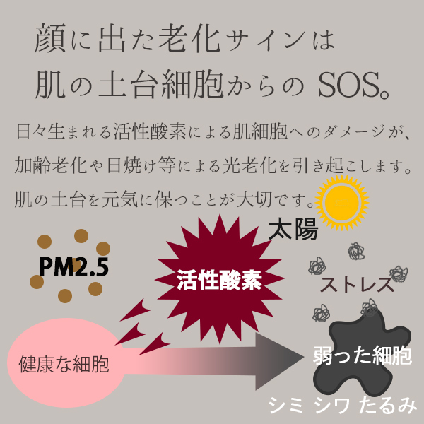 メチルパラ 美容液 美容皮膚専門店 AOHAL365 - 通販 - PayPayモール アオハル セルロージーチャージブースター お肌が薄くなってきたな、と感じる貴方へ。 アオハル化粧品 ソルビタン