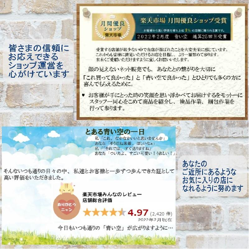わちふぃーるど ダヤン リュック レザーリュック (黒 わちふぃーるど ダヤン リュック レザーリュック (黒