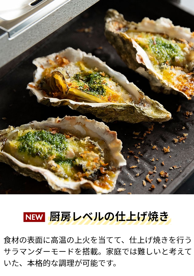 無料ラッピング 正規品 プロモデル バルミューダトースター ザ・トースター プロ K05A-SE スチームトースター オーブントースター ...