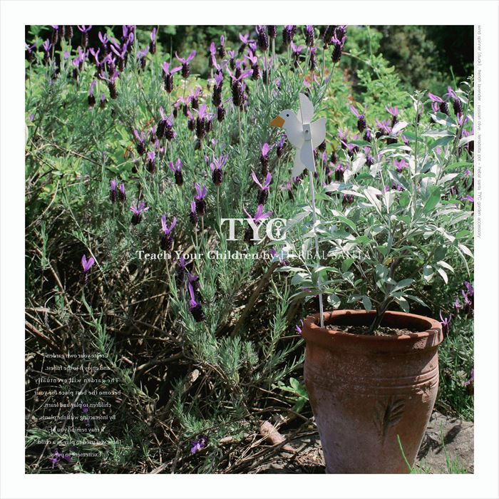 風車 庭 鳥 通販 かざぐるま ウインドスピナー ウィンドスピナー トリ とり 花壇 鉢植え ガーデンアクセサリー ガーデン ガーデニング ...