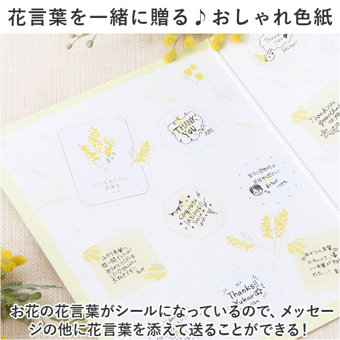 メッセージボード 寄せ書き 通販 LABCLIP ラボクリップ メッセージ ブック メッセージカード お礼 寄せ書き色紙 色紙 見開き 二つ折り 台紙 卒業 :messageboard ...