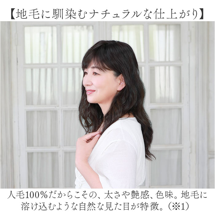 プリシラ 部分 ウィッグ prisila ST-100 通販 かつら 女性 レディース 部分ウィッグ ポイントウイッグ ヘアピース ポイントウィッグ ウイッグ 頭頂部 : BACKYARD ...