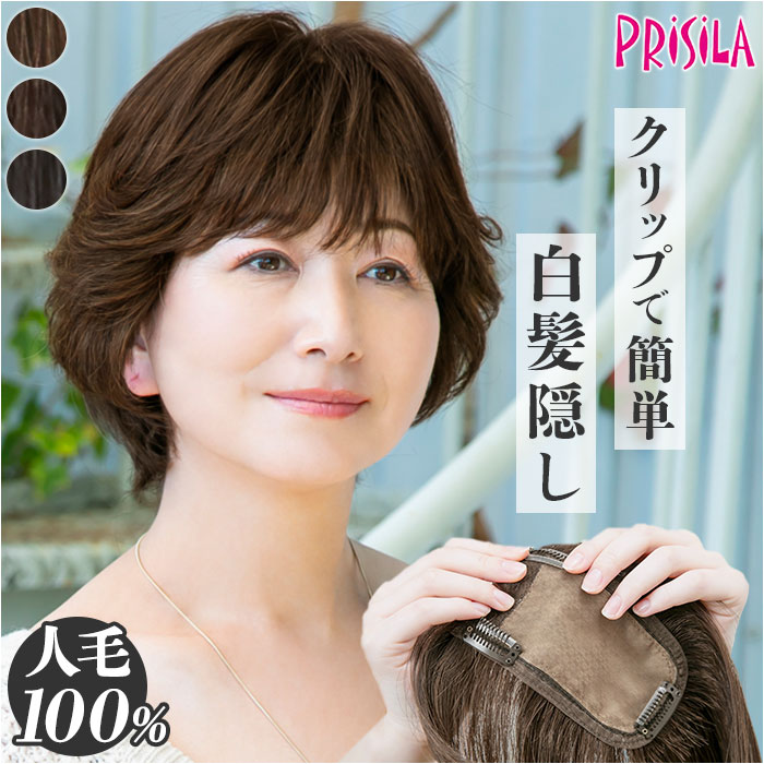 プリシラ 部分 ウィッグ prisila ST-101 通販 かつら 女性 レディース 部分ウィッグ ポイントウイッグ ヘアピース ポイントウィッグ ウイッグ 頭頂部 : BACKYARD ...