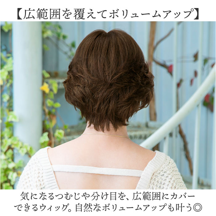 プリシラ 部分 ウィッグ prisila ST-101 通販 かつら 女性 レディース 部分ウィッグ ポイントウイッグ ヘアピース ポイントウィッグ ウイッグ 頭頂部 : BACKYARD ...