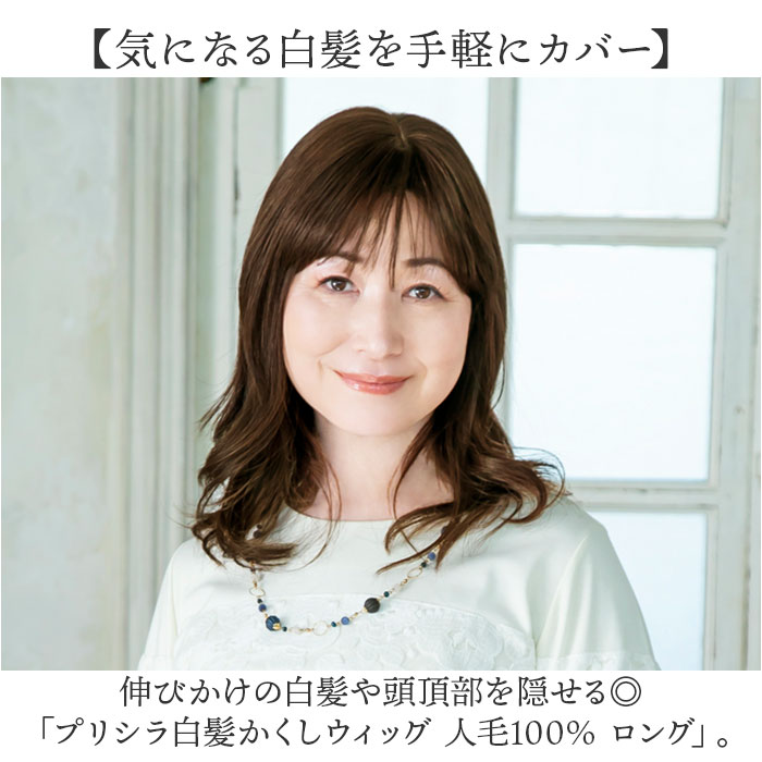 プリシラ 部分 ウィッグ prisila ST-102 通販 かつら 女性 レディース 部分ウィッグ ポイントウイッグ ヘアピース ポイントウィッグ ウイッグ 頭頂部 : BACKYARD ...