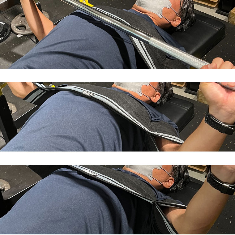 BODYMAKER（ボディメーカー） ベンチプレス用 トレーニングバンド R BODYMAKER ジム ウェイトリフティング ベンチプレス セルフウェイトエクササイズ 腕立て伏せ バンド ...