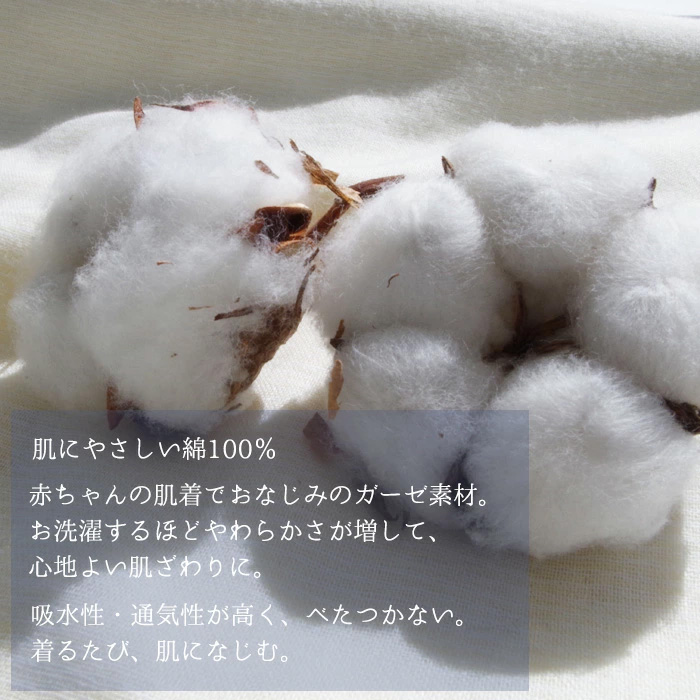 POLO BCS 綿100% 先染め 2重ガーゼ パジャマ メンズ : 13421p5 : パジャマファミリー - 通販 - Yahoo!ショッピング