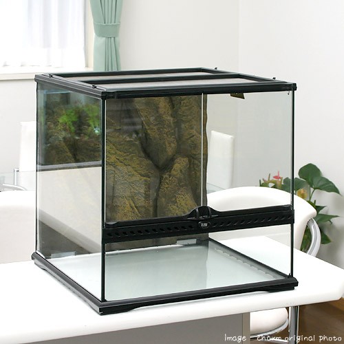 GEX エキゾテラ グラステラリウム 4545 爬虫類 飼育 ケージ ガラスケージ ジェックス 沖縄別途送料 関東当日便 :49751:チャーム charm ヤフー店 - 通販 - Yahoo ...