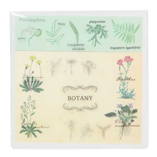 付箋 STUDY HOLIC クリアカバーふせん 植物学 Green Flash プレゼント 男の子 女の子 ギフト バレンタイン : キャラクターのシネマコレクション - 通販 ...