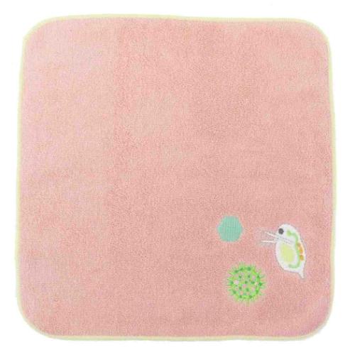 タオルハンカチ STUDY HOLIC ミニタオル Green Flash 微生物学 : キャラクターのシネマコレクション - 通販 - Yahoo!ショッピング