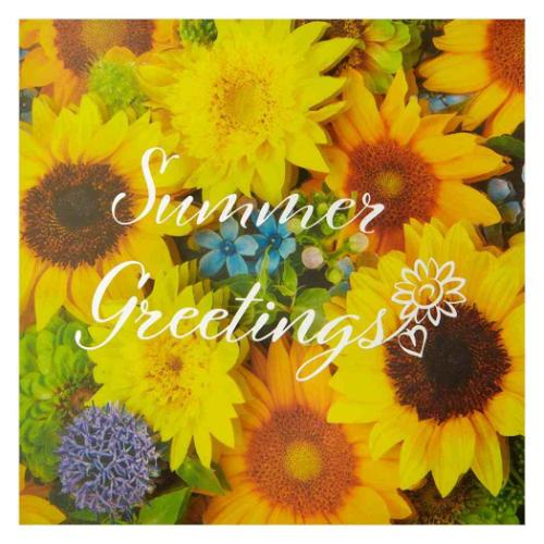 グリーティングカード シヨチユウJSP 54-4 立体カード サマー ヒマワリフラワーボックス サンリオ : キャラクターのシネマコレクション ...