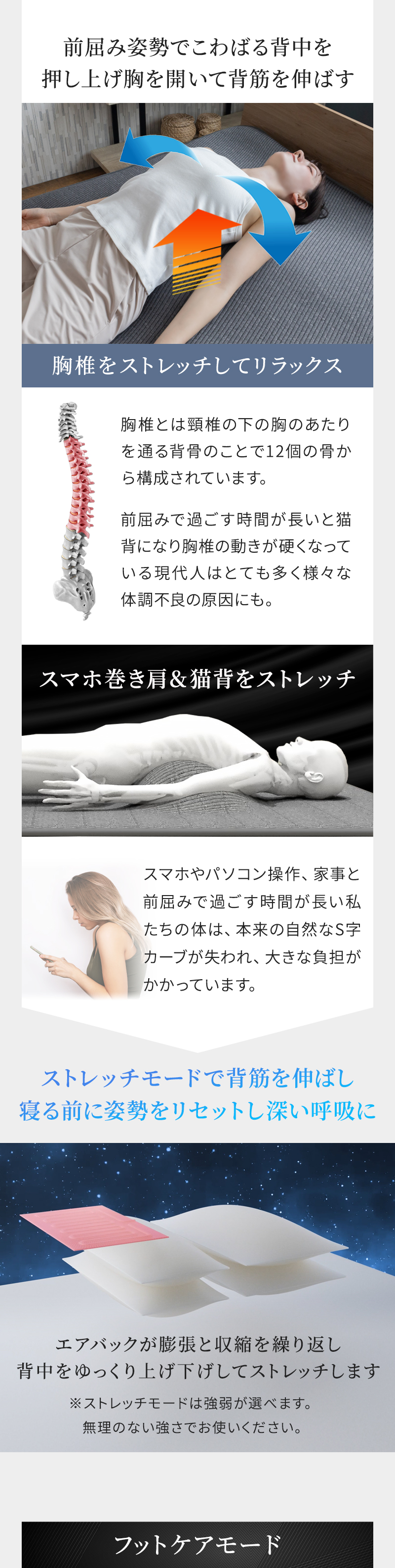 BlueBlood BlueBloodエアテックスリーパー 敷きパッド BlueBlood BlueBloodエアテックスリーパー 敷きパッド