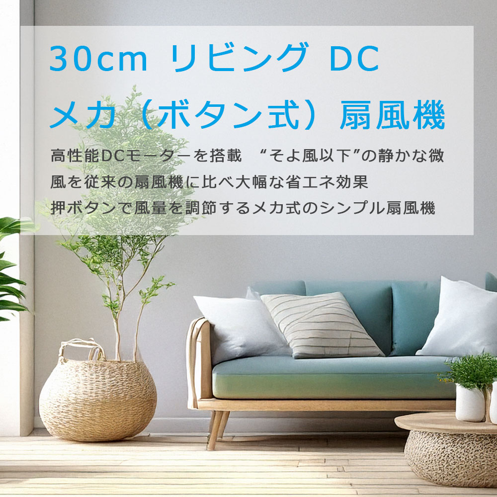 TEKNOS（テクノス） 扇風機 リビング 超微風から強風まで 風量4段階 高性能 DCモーター 押ボタン オフタイマー シンプル 保証付き KI-180DC : ダントツonline ...