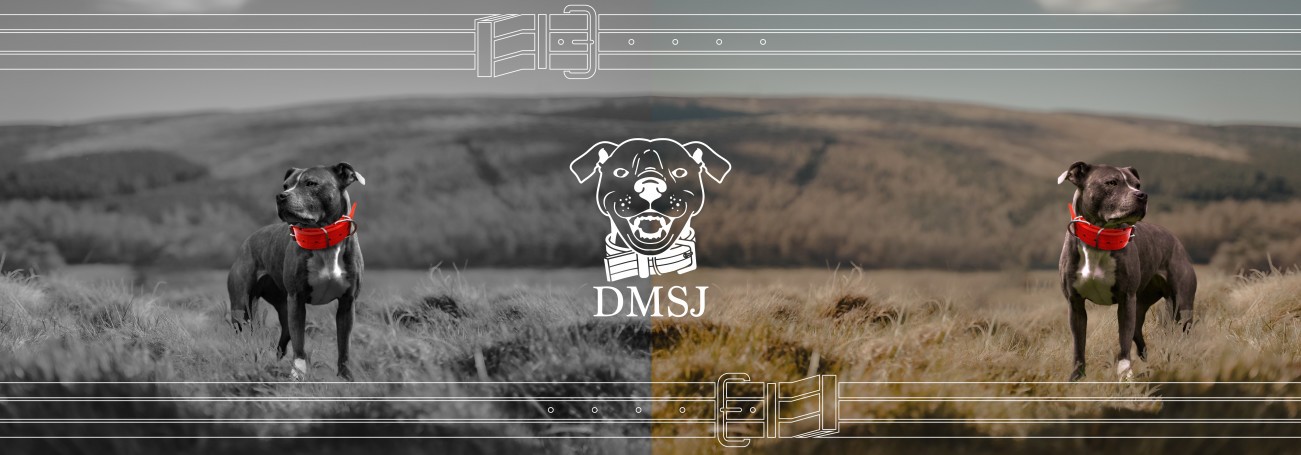 【Lサイズ】ドッグマンサポートジャパン 極めて丈夫なナイロンの首輪 ワーキングドッグ ガードドッグ ハンティングドッグ ゲームドッグ ピットブル 土佐犬 :d-collar-50-l:DMSJ ...