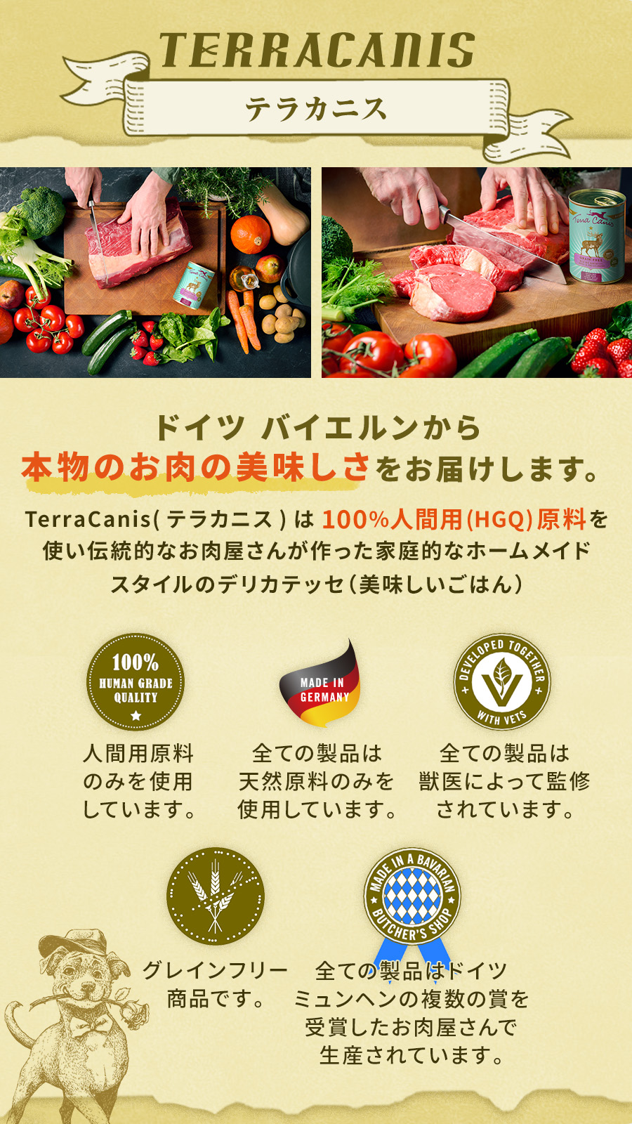 テラカニス マーケットラグー ビーフ 385g : ドッグパラダイスぷらすニャン - 通販 - Yahoo!ショッピング