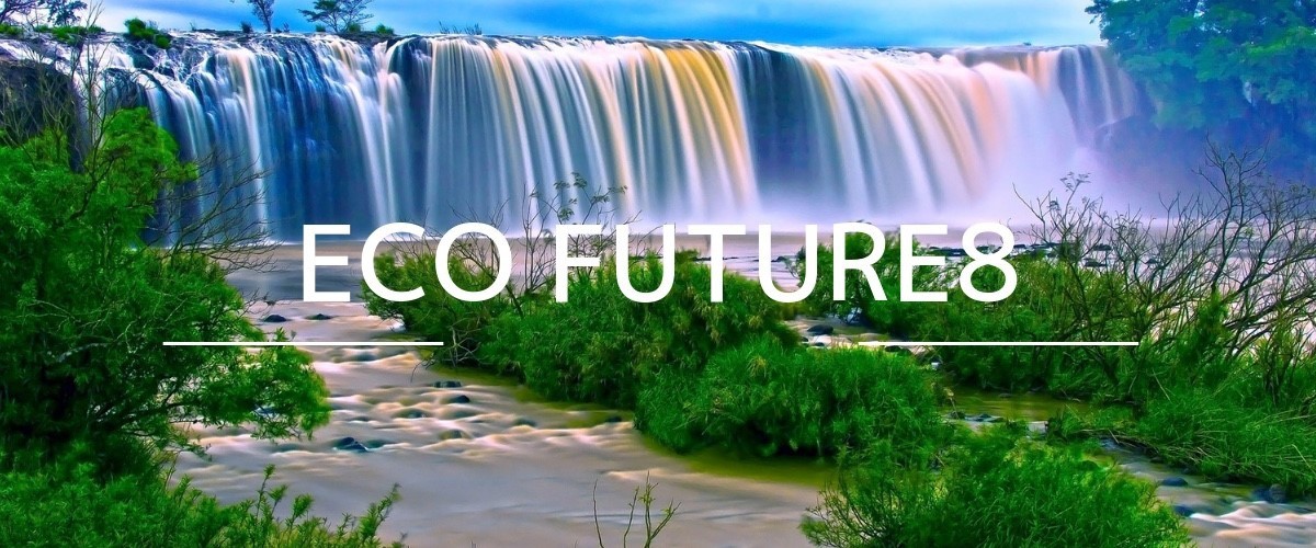 ecofuture株式会社 - Yahoo!ショッピング