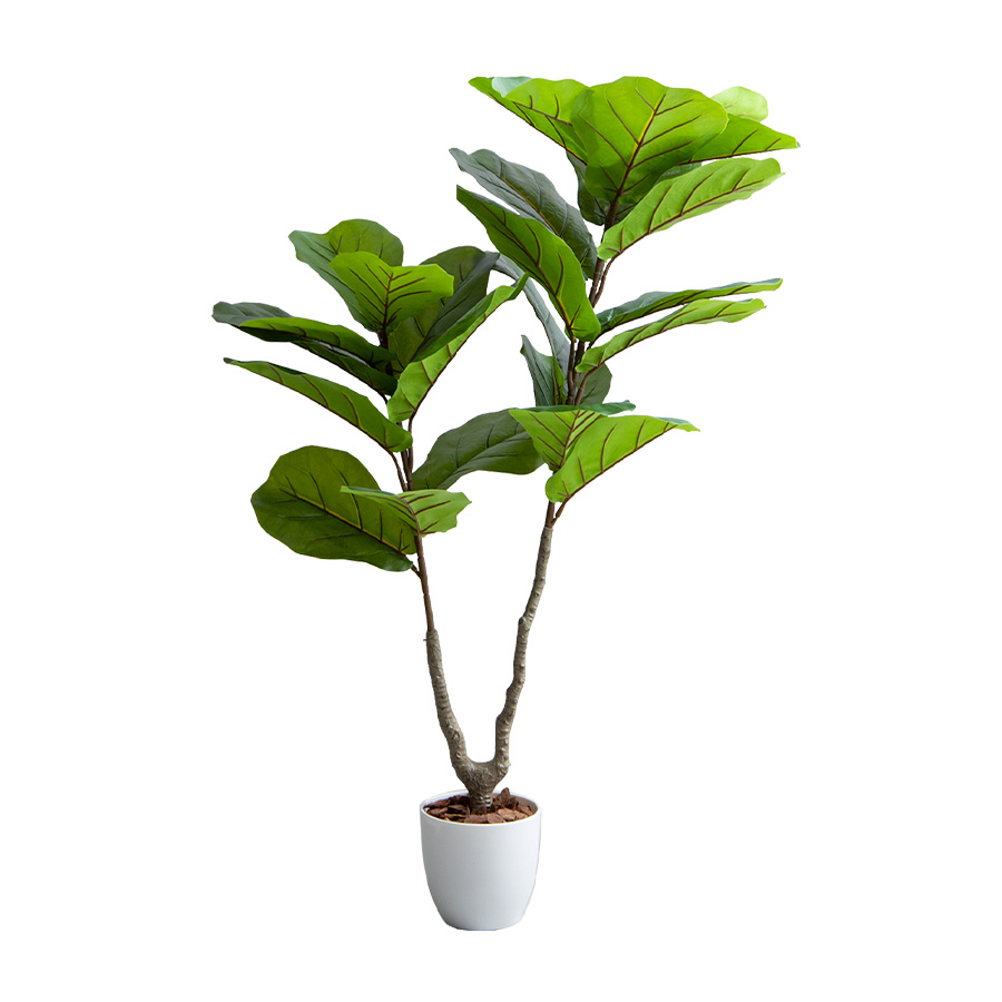 Nature ナチュレ 観葉植物 リラータ カシワバゴムの木 カシワバゴムノキ フェイクグリーン 人工 室内 リビング オフィス 一人暮らし ...