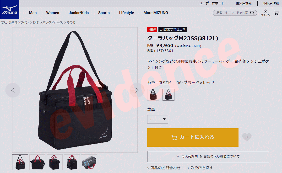 MIZUNO ミズノ クーラバッグM23SS(約12L) 1FJY330196 : イーゾーン スポーツ - 通販 - Yahoo!ショッピング