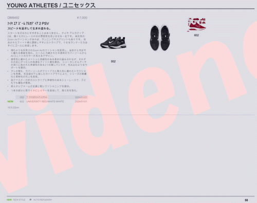 NIKE（ナイキ） エア ズーム アルカディア 2 PSV DM8492-401 ジュニアシューズ : イーゾーン スポーツ - 通販 ...