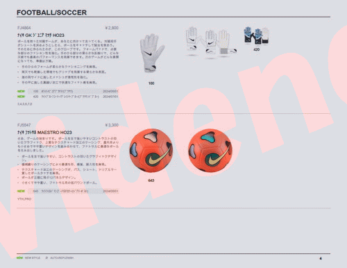 NIKE ナイキ GK ジュニア マッチ HO23 FJ4864-100 メール便送料無料 : イーゾーン スポーツ - 通販 - Yahoo ...