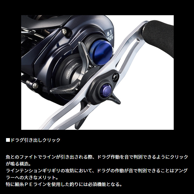 DAIWA（ダイワ） 【目玉商品】ダイワ 23 ソルティスト BF TW 8.1R PE