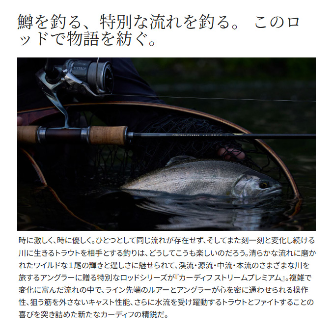 シマノ（SHIMANO） 24 カーディフ ストリームプレミアム B54UL ベイト