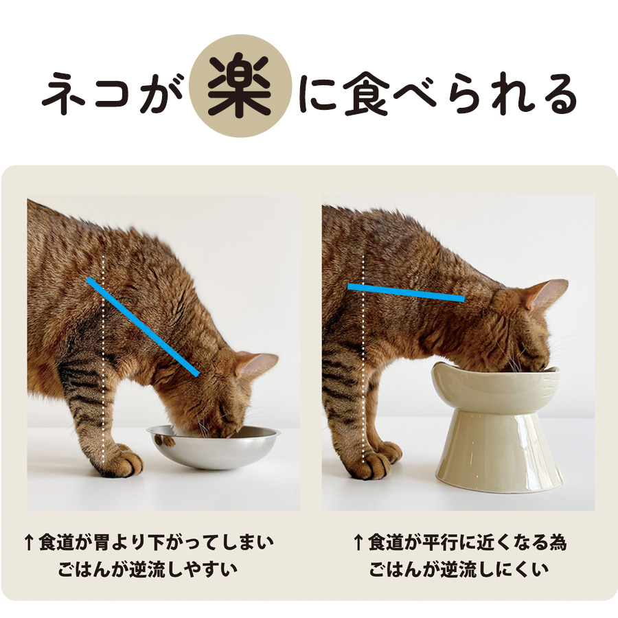 nnma んーま 猫用 フードボウル 日本製 磁器 脚付き 美濃焼 食器 食べやすい かわいい おしゃれ 映え プレゼント 電子レンジ・食洗器 ...