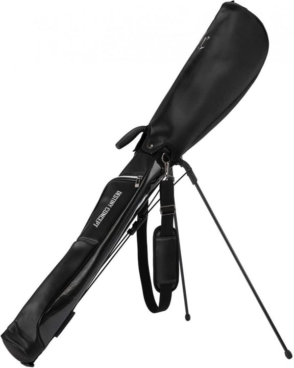 DESTINY CONCEPT イデアジャパン デュアルバッグ DC-X14B DUAL HLF