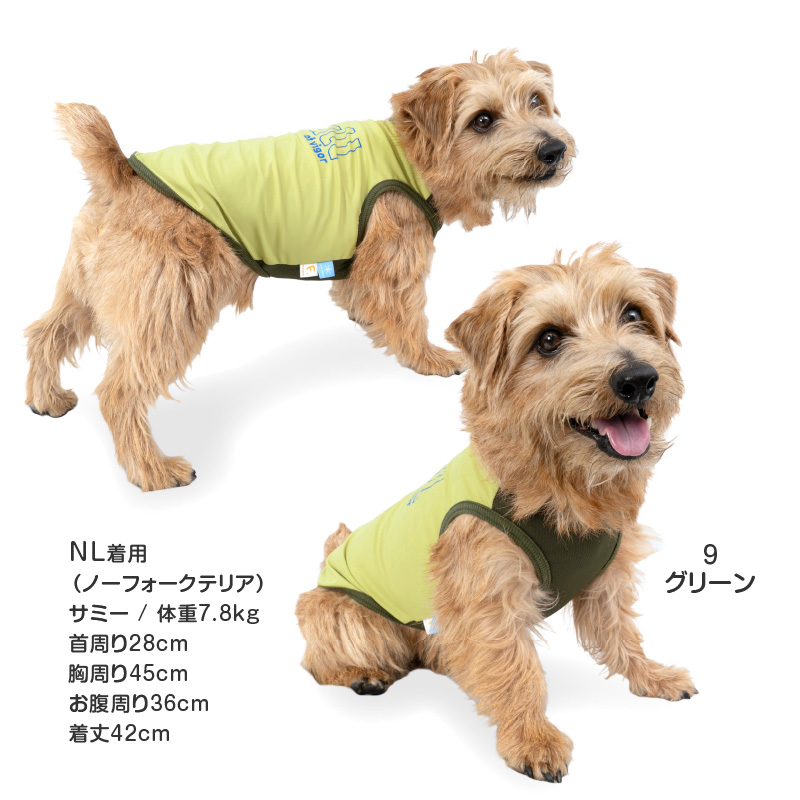full of vigor 犬 服 春 夏 接触冷感防蚊切替ベア天タンク(ダックス・小型犬用) 抜け毛対策 タンクトップ クール 夏用冷感服 UVカット 散歩 : 犬の服 full of ...