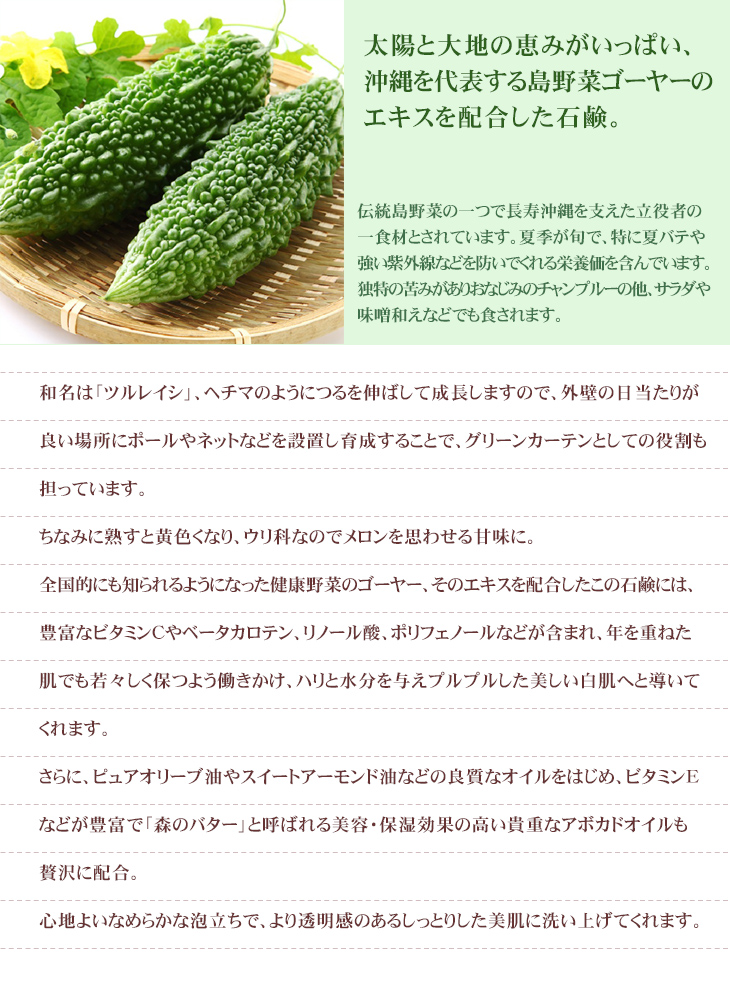 ゴーヤ石鹸 100g /チュフディナチュール 洗顔 沖縄お土産 : 沖縄健康市場 - 通販 - Yahoo!ショッピング