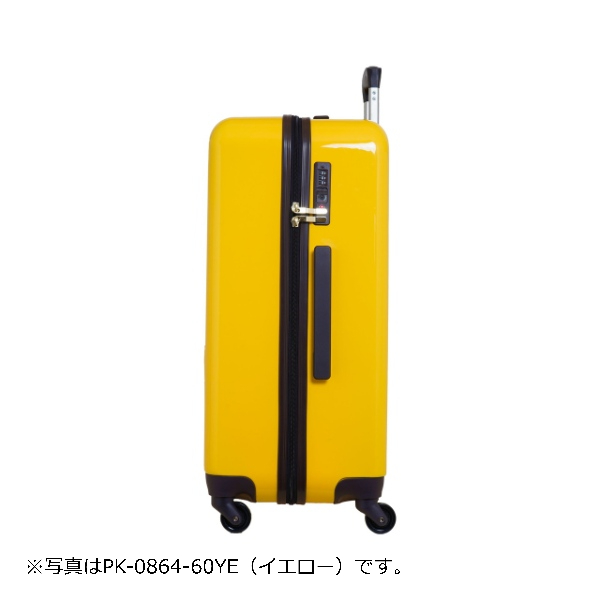 LOJEL キャリーケース ポケモン ピカチュウ スーツケース ブラック TSAロック搭載 62L 5泊から6泊程度 PK-0864-60BK/srm : スーパーぎおん ヤフーショップ ...