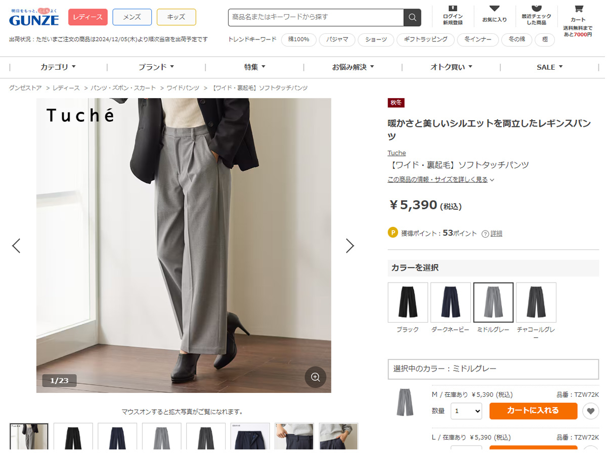 Tuche グンゼ 裏起毛 ワイドパンツ レディース ウエストゴム 秋 冬 イージーパンツ 前あき ポケットあり 暖かい あったか 美脚 ...