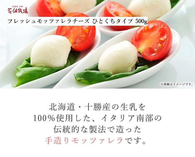 ☆送料無料☆花畑牧場 お試しチーズ2種（メダルモッツァレラ500g＆