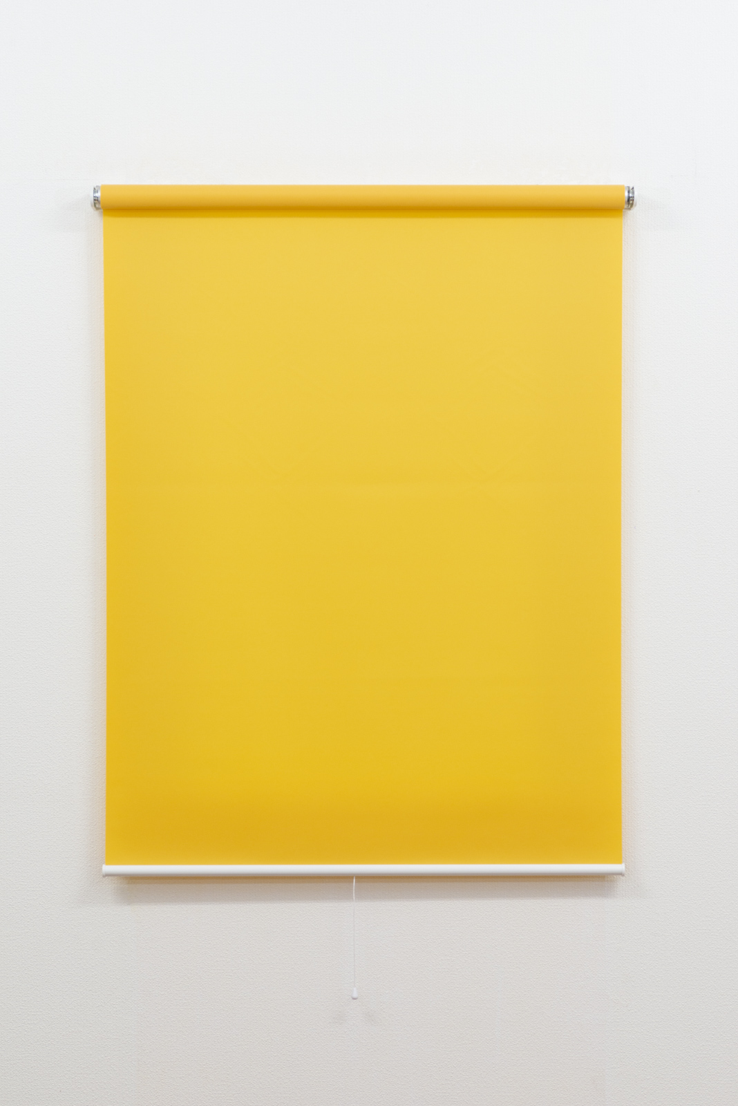 賃貸OK つっぱり式 ロールスクリーン 遮光 非遮光 5色 幅60 90 180cm 高さ135 窓用 簡単取付 プルコード : カーテンインテリア LEAVES - 通販 - Yahoo ...