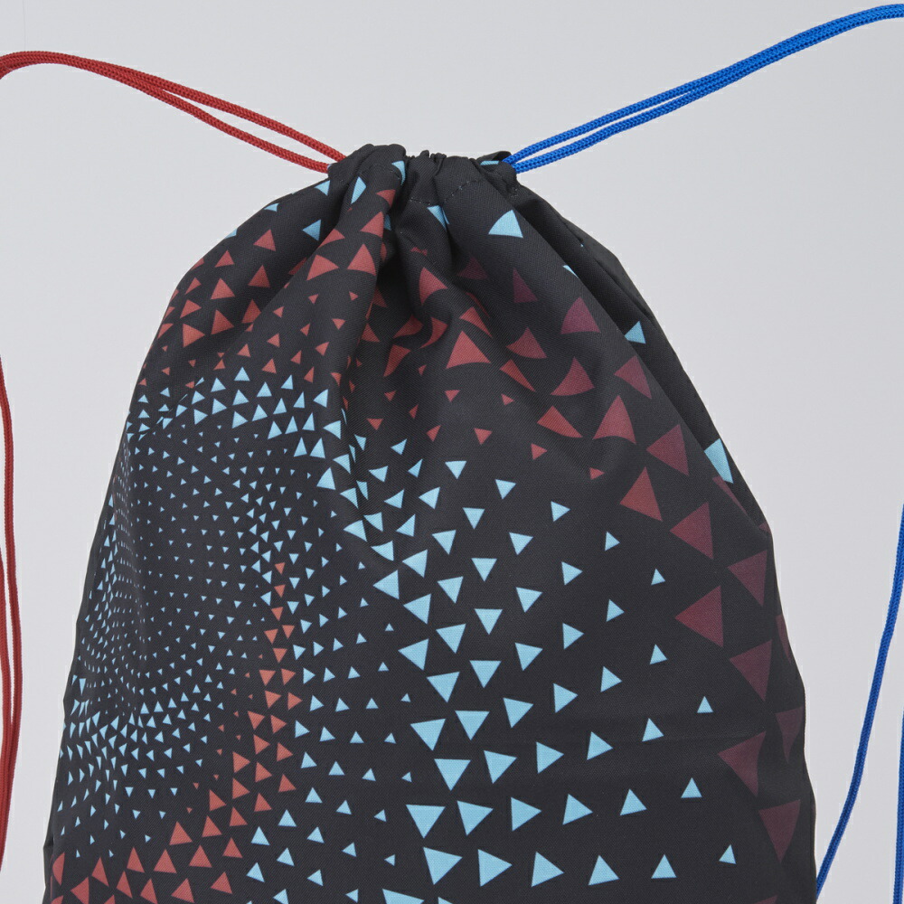 アリーナ ARENA 水泳 マルチバッグ スイミングバッグ デイバッグ スポーツバッグ FIREFLOW COLLECTION ...