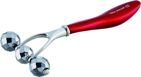 テラローラー アイII フェイスローラー フェイスケア 美顔器