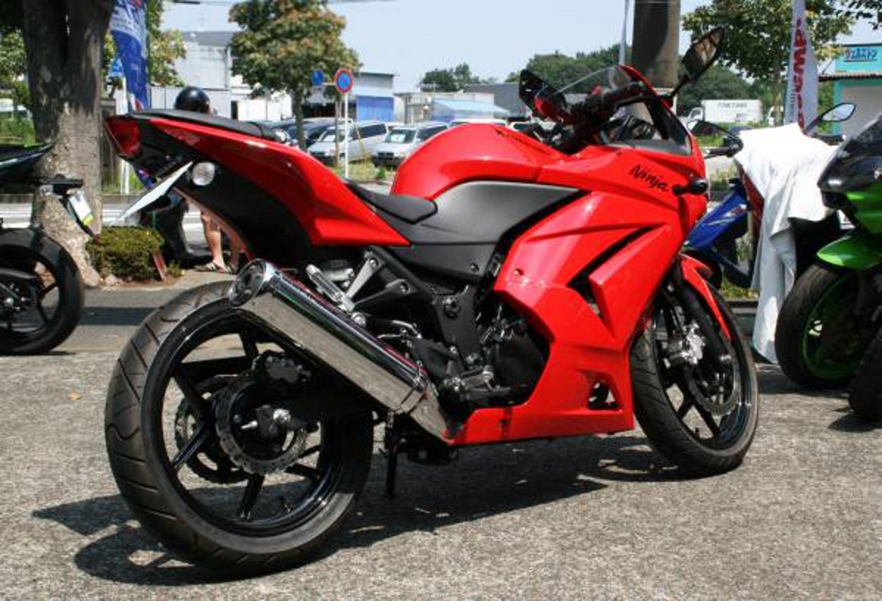 カワサキ Ninja250R(08〜12) フェンダーレスキット PinkFactory カワサキ Ninja250R(08〜12) フェンダーレスキット PinkFactory