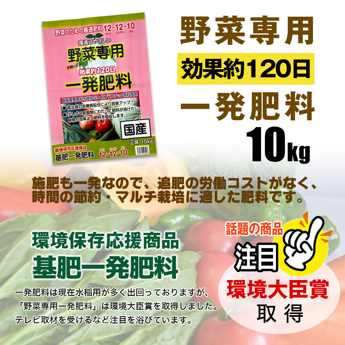 SHINSEI 野菜専用一発肥料 10kg 国産 12-12-10 効果約120日間 環境にやさしい 園芸 家庭菜園 シンセイメーカー直送 ...