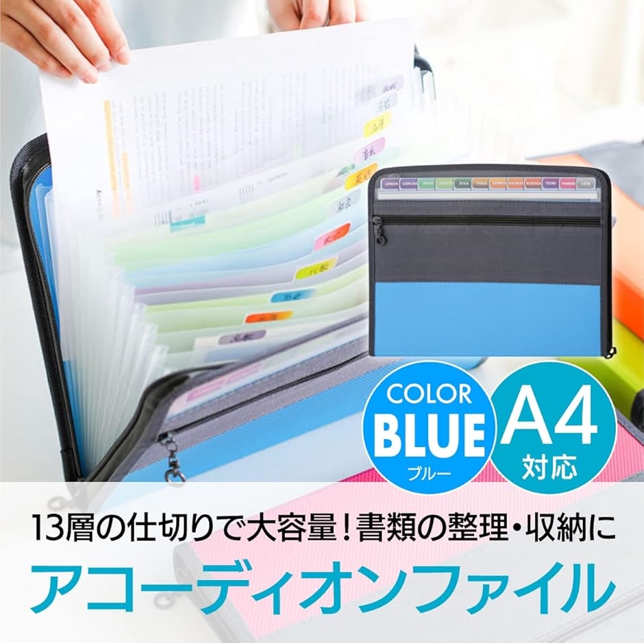 ファイルケース A4 13分類 ベーシック 書類ホルダー 収納ケース 大容量 ラベル付き(ブルー) : スピード発送 ホリック - 通販 - Yahoo!ショッピング