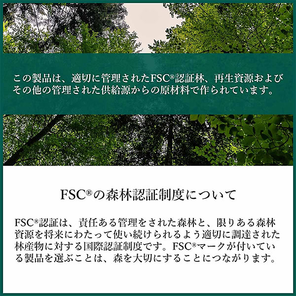 レターセット シール付 音符クローバー LST-246 （27） 便箋12枚 封筒6枚 シール6枚 フロンティア FRONTIA FSC認証製 ...