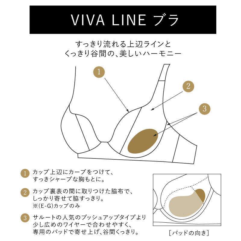 サルート（SALUTE） ワコール ブラジャー BTJ427 Wacoal salute 27