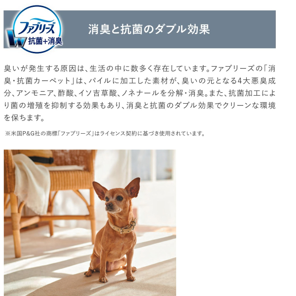 アスワン Wall to Wall ファブリーズ消臭・抗菌カーペット アスエポック（EPC-92・65・95・09）ヨコ190cm×タテ ...