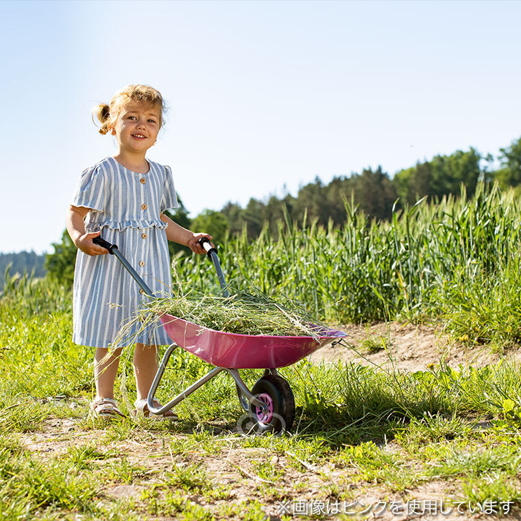 ロリートイズ rolly toys 一輪車 Blue RT271764 青 おもちゃ こども 手押し 玩具 砂場 2歳 3歳 誕生日プレゼント ...