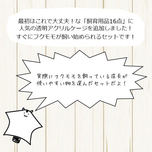 フクロモモンガの飼育初心者セット02 アクリルケージと基本の飼育用品セット 「GEX アクリルルームIII 390High」フクモモがすぐ飼える「大型商品」 : ももんがもんもん共和国 ...