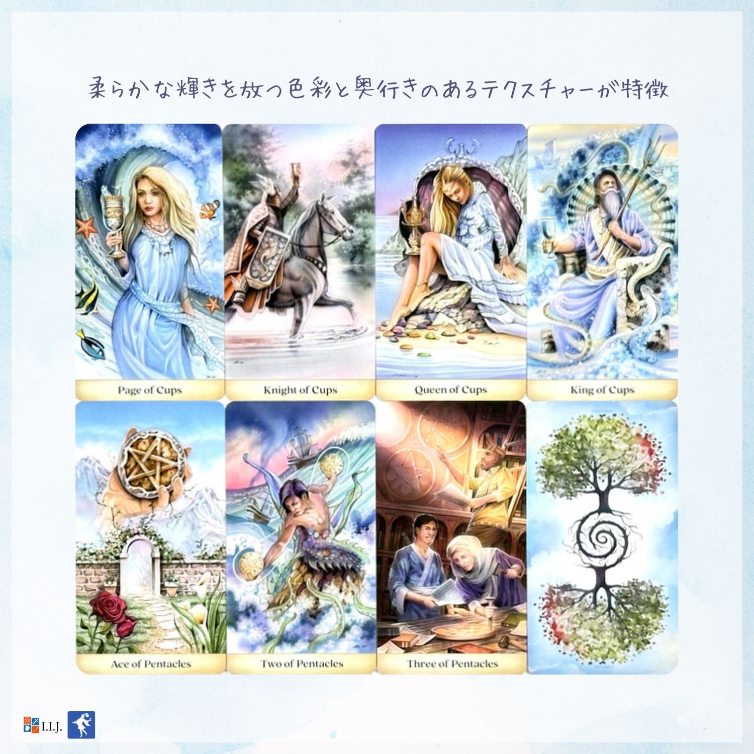 カランドラ・タロット Calandra Tarot タロットカード ウェイト版 タロット占い 日本語解説書付き 正規品 : a24110008 ...